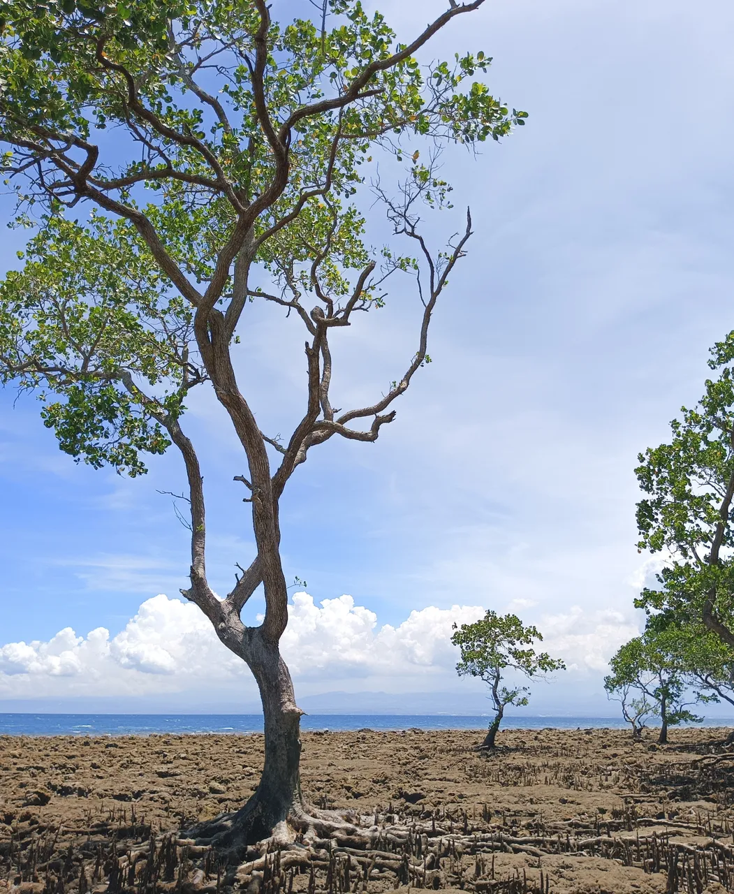 Holiday getaway at Kawas Beach Resort