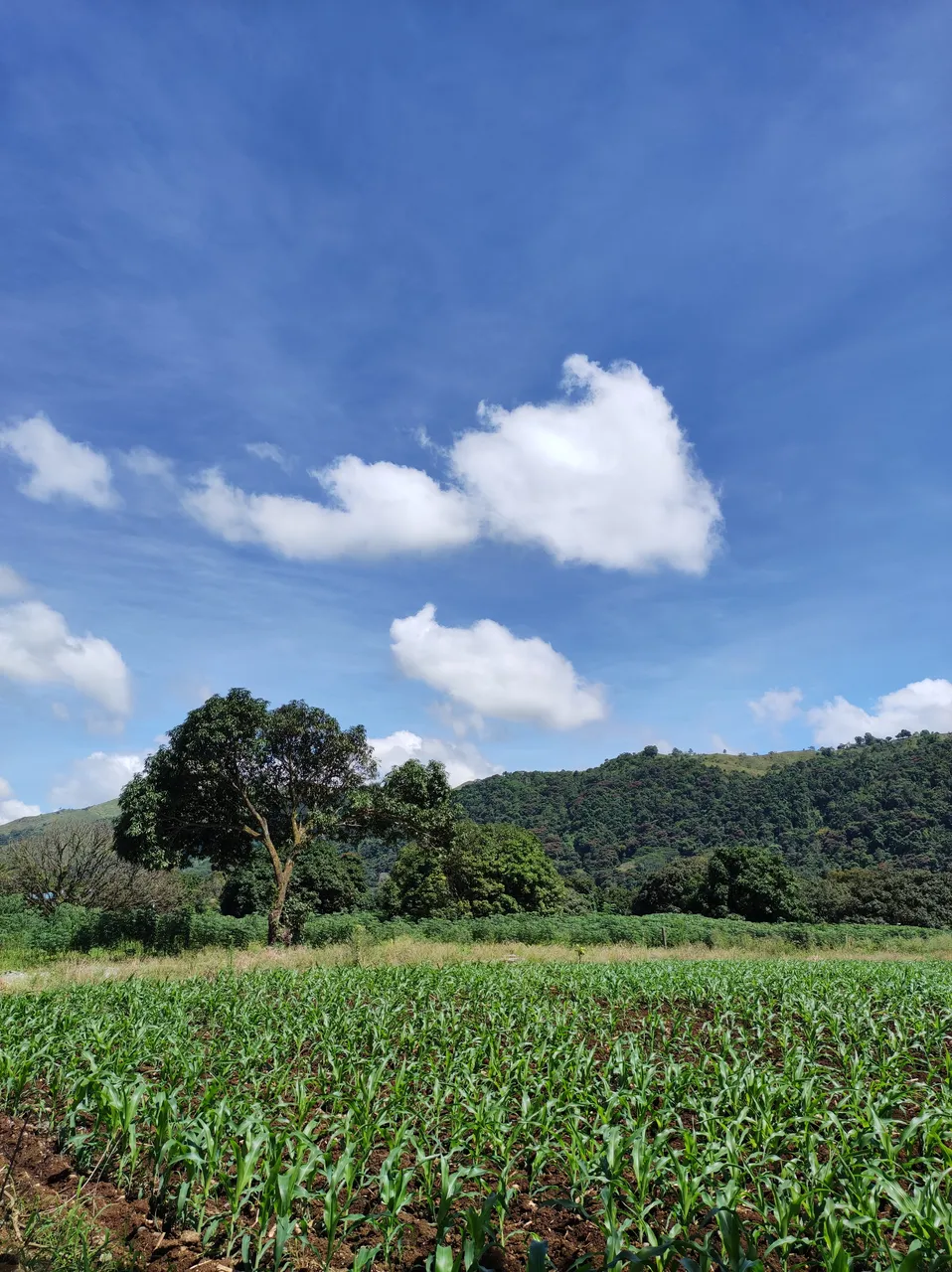 Breathtaking View of Bubunawan River Valley and Falls | Libona, Buk...