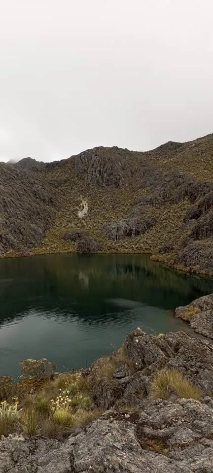 Hiking Laguna El Parche and La Pata - Mérida Vzla. // Senderismo La...