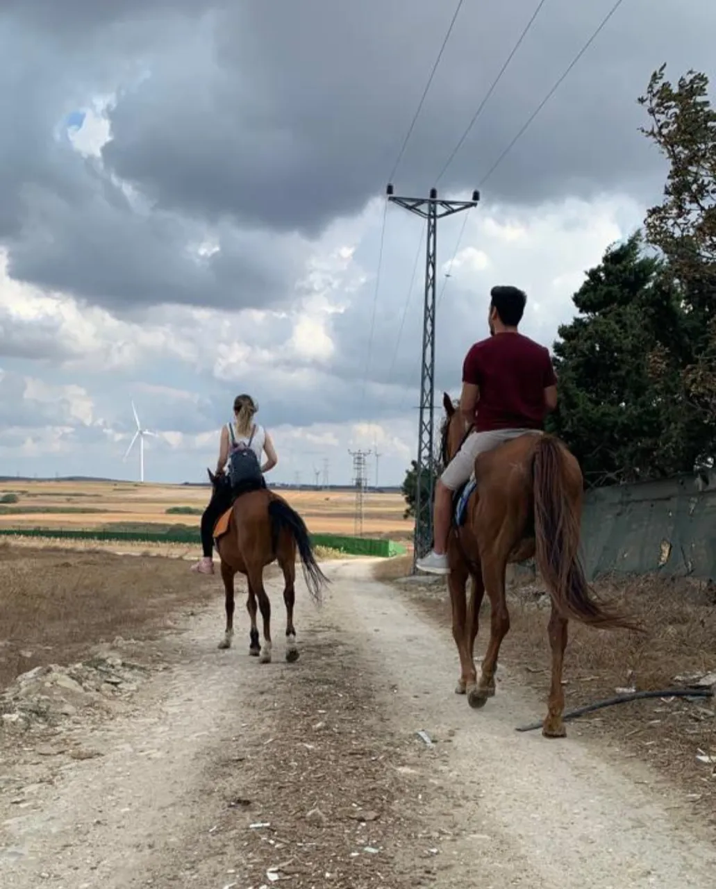 Our Horse Farm Adventure and Horse Riding 101 🐎 At Çiftliği Macera...