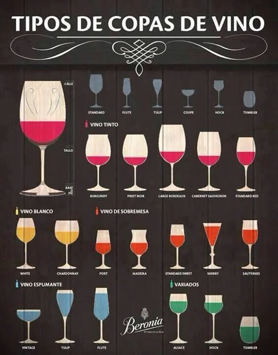 Infografia sobre Tipos de Copas, segun el vino a servir