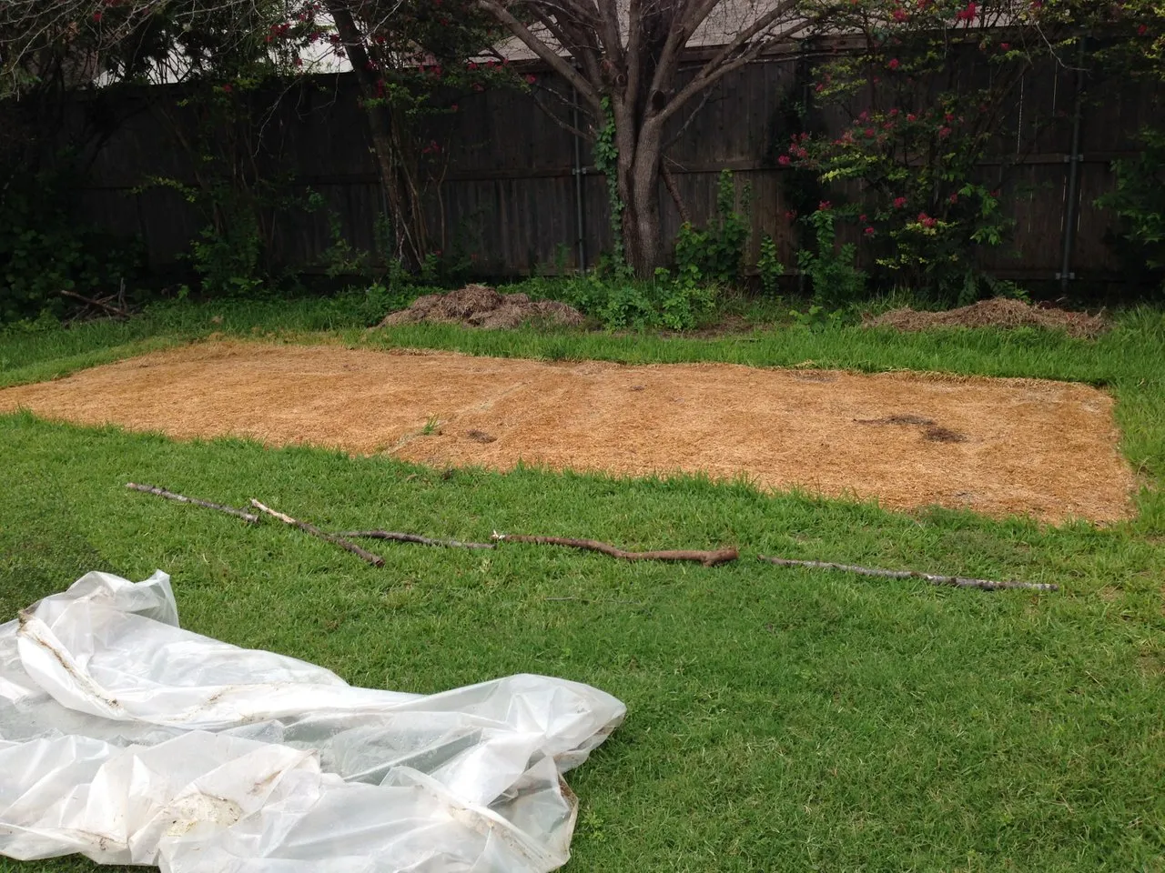 Converting the Backyard Lawn into No Till Raised Garden Beds