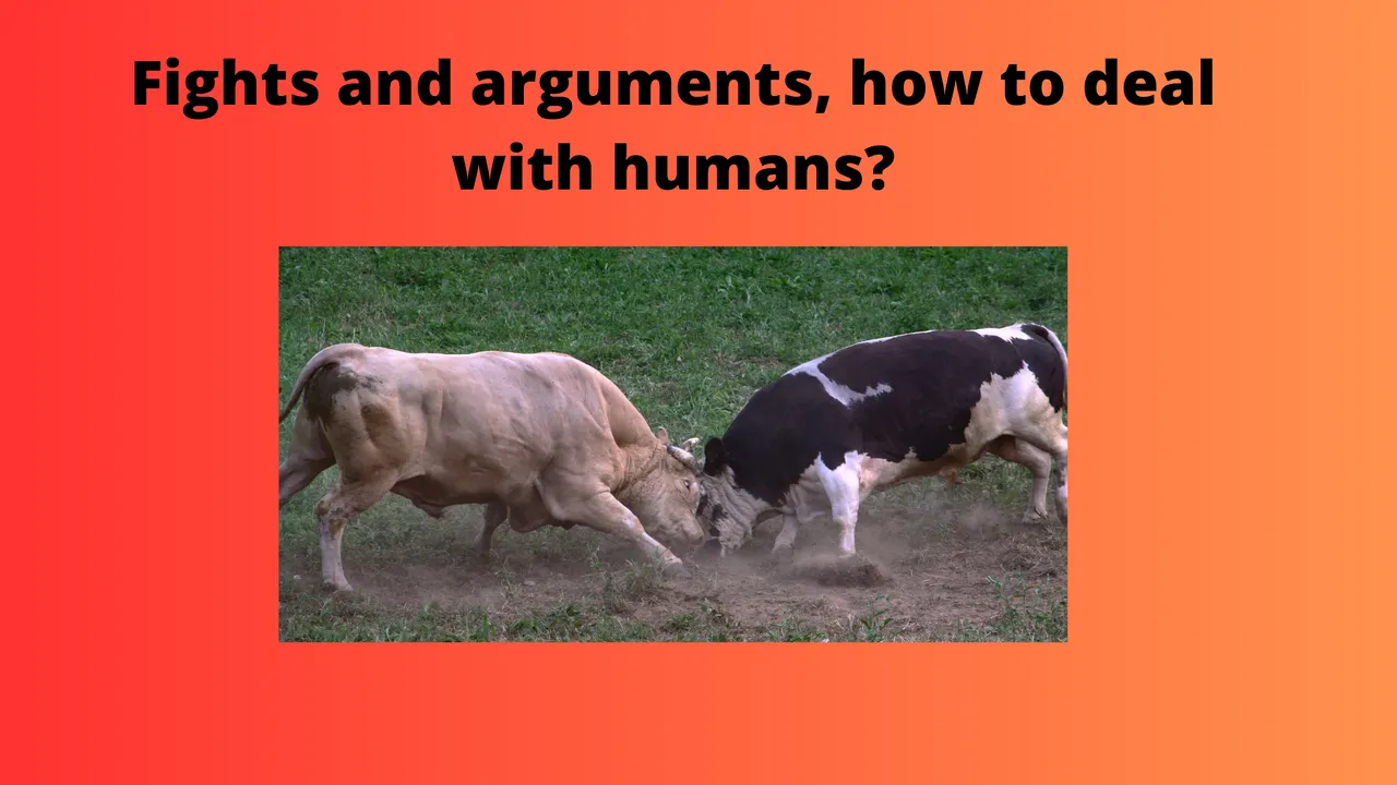 Fights and arguments: how to deal with humans?