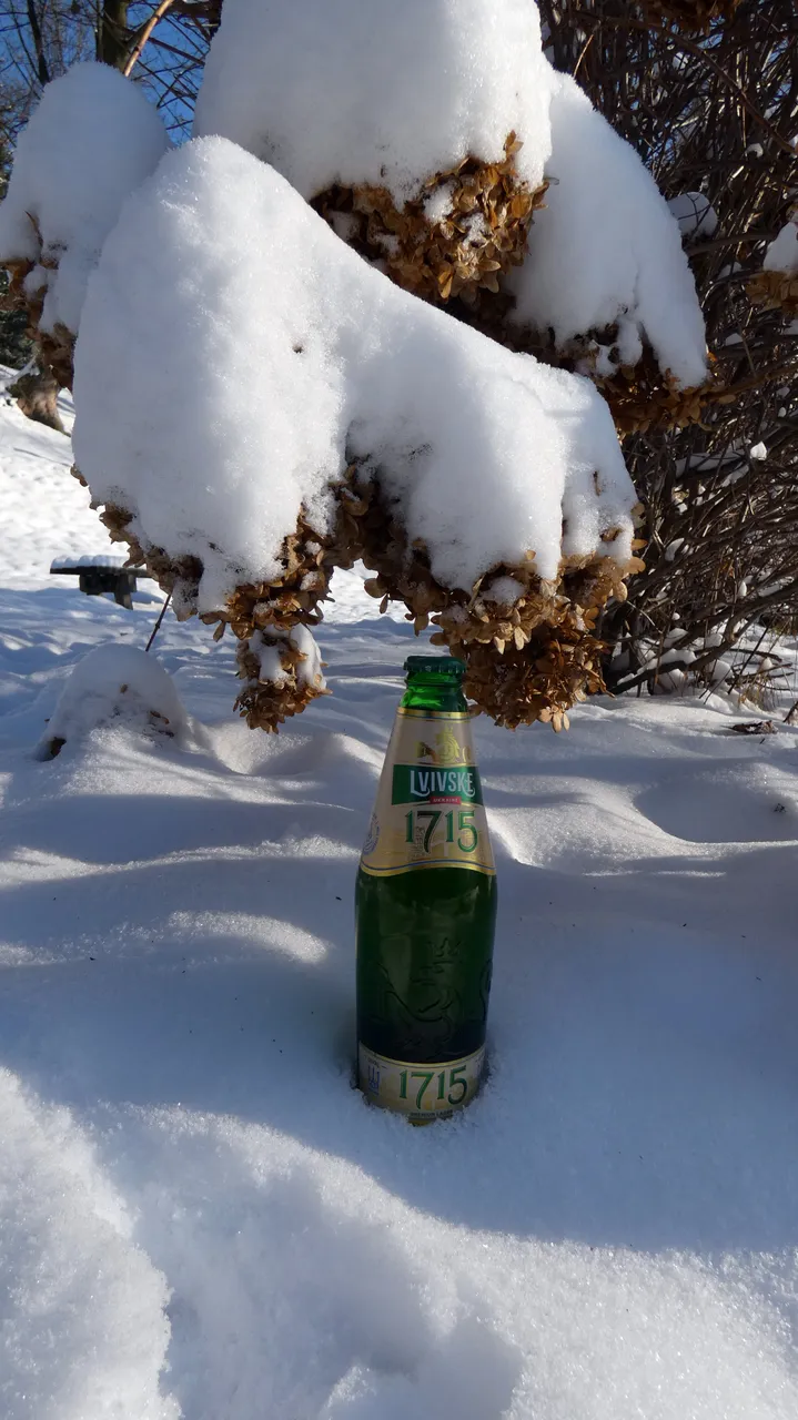 Ukrainian beer "Lvivske 1715" and Polish "bigos" - is it an explosi...