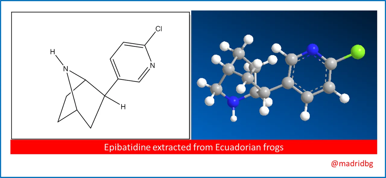 HALOGENATED ORGANIC COMPOUNDS AS AN INTEGRAL PART OF THE WORLD AROU...