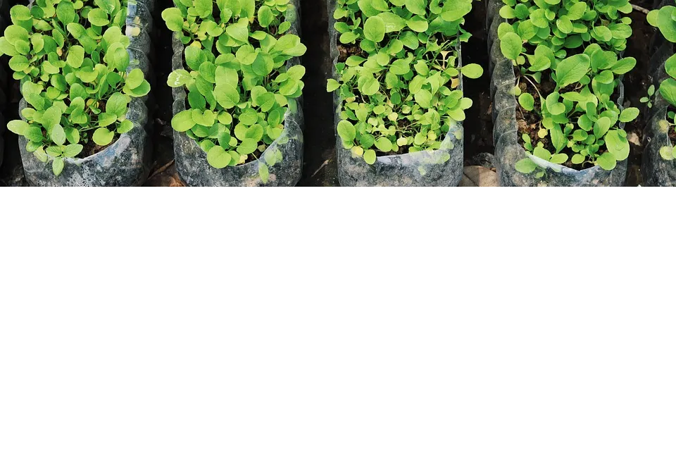 Conoce la importancia de reciclar el plastico y así aligerar la car...