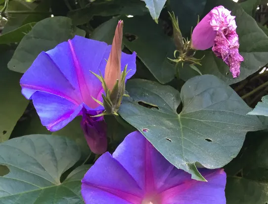 Thought Provoking Photos from my Travels 🍍