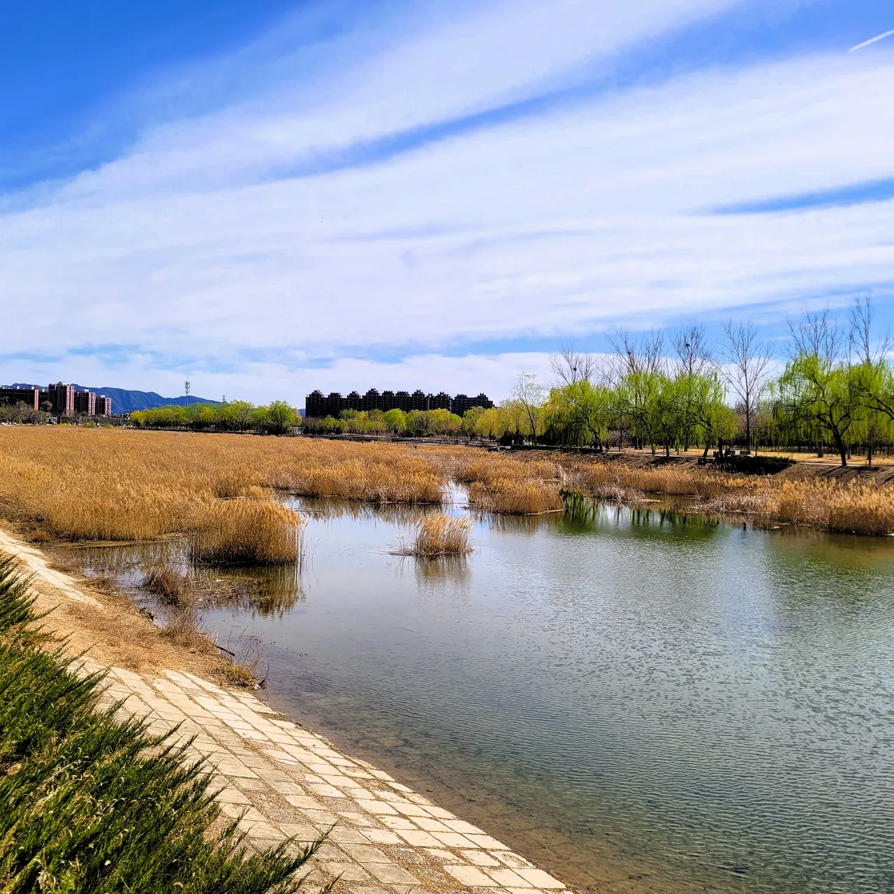 The Amazing Spring Beauty Of The Beihe River