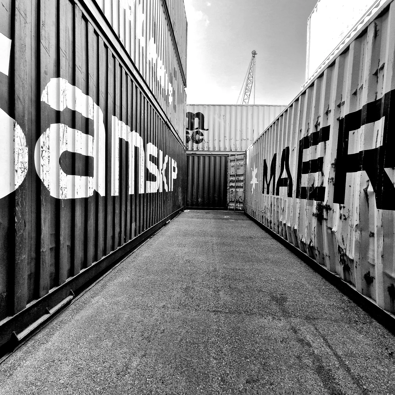 monomad challenge: among shipping containers