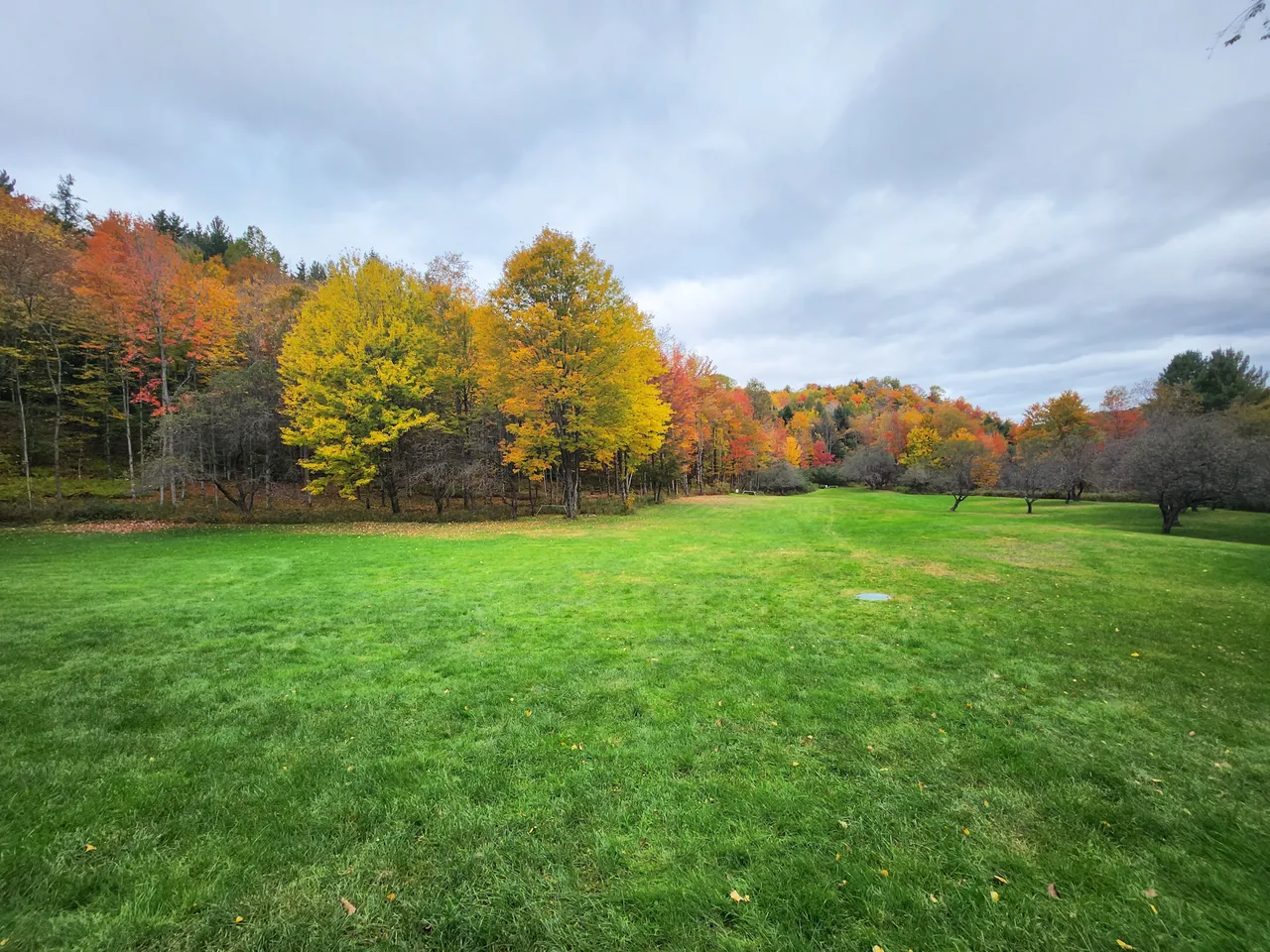 Fall Color in Vermont