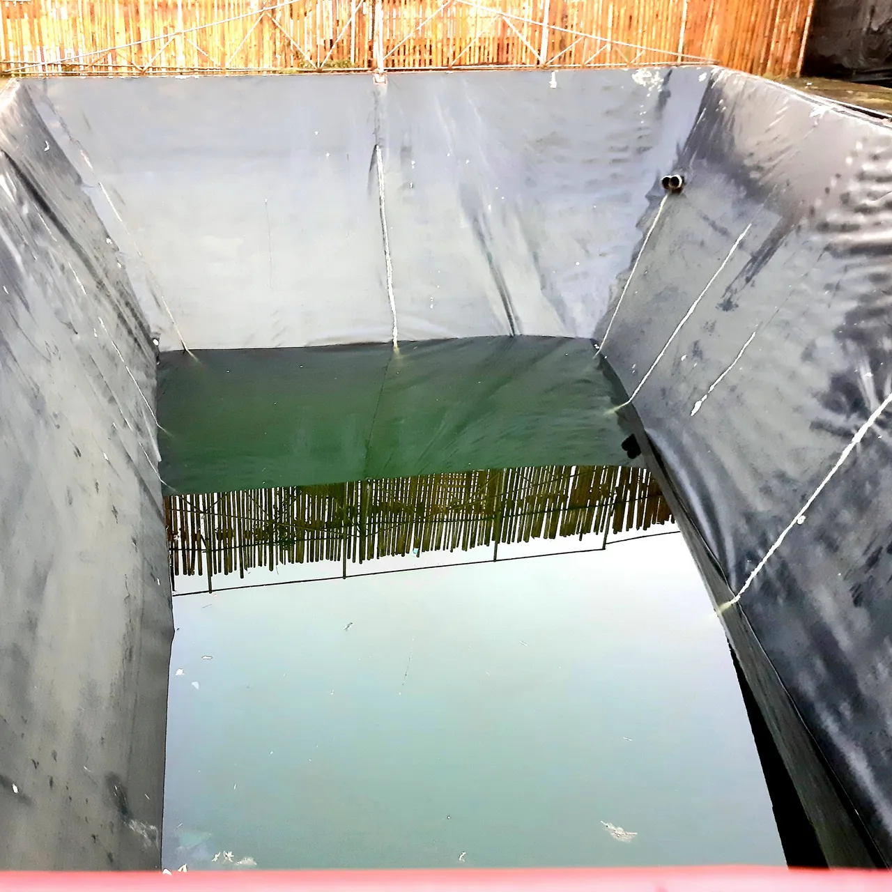 Over Still Waters (Reflection Hunting Edition 82)