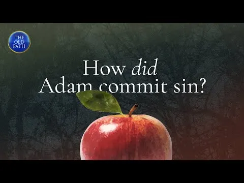 Why Did God Create The Apple Which Caused Adam And Even To Sin? ~ M...