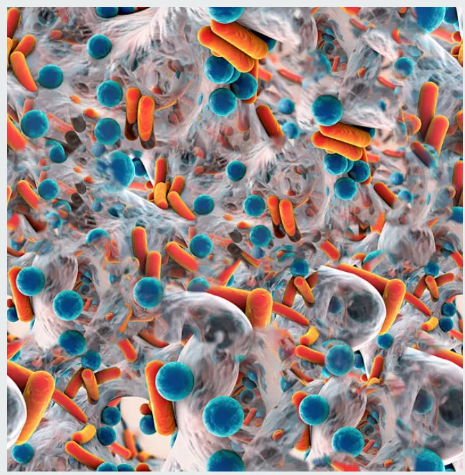 Unveiling Staphylococcus: A Comprehensive Exploration of Infections...