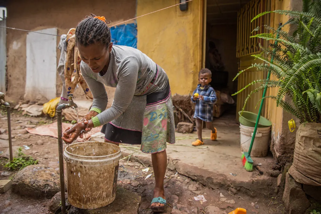 Understanding Chronic and Acute Diarrhoea