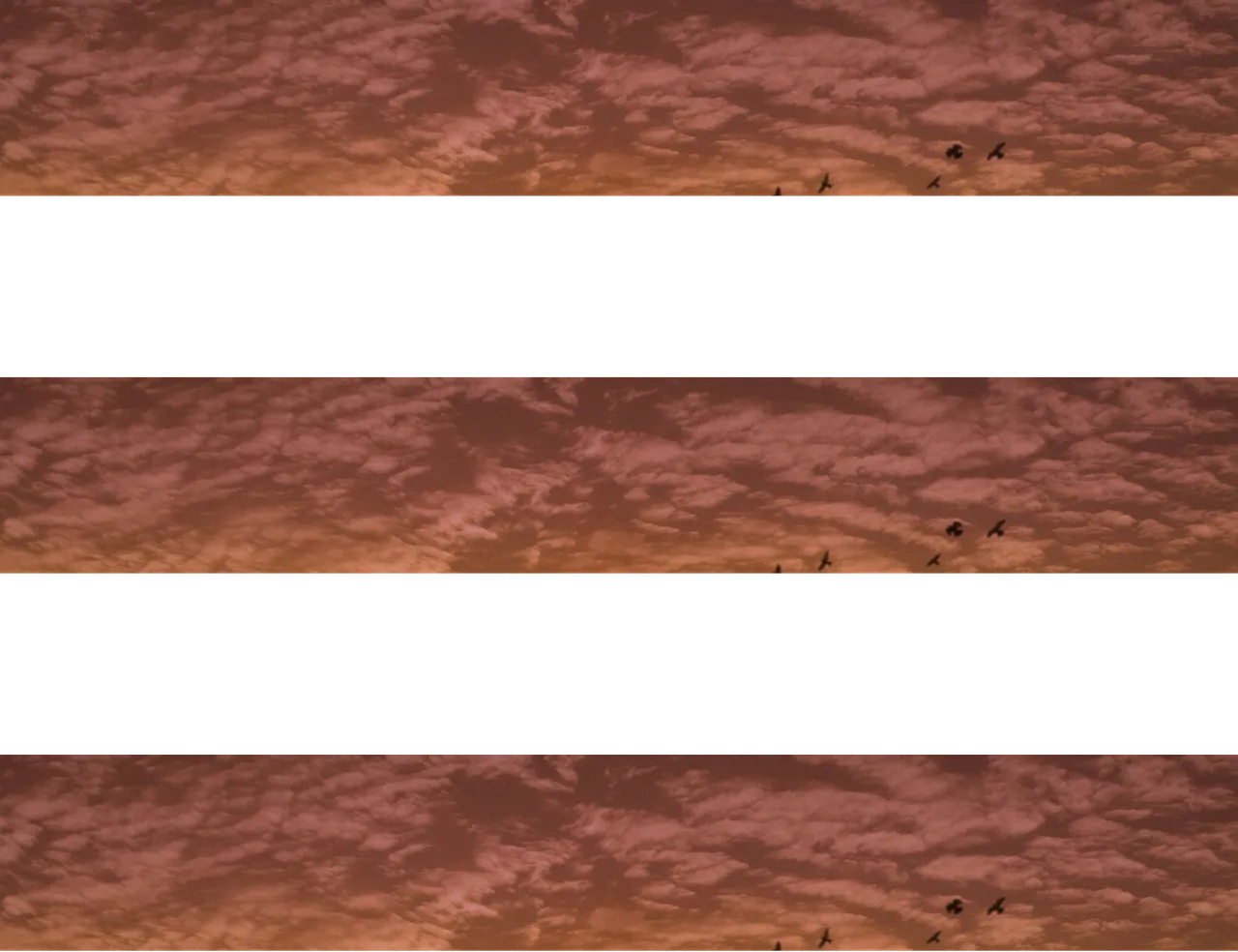 Did you know that the longest river in the world is the Nile, stret...