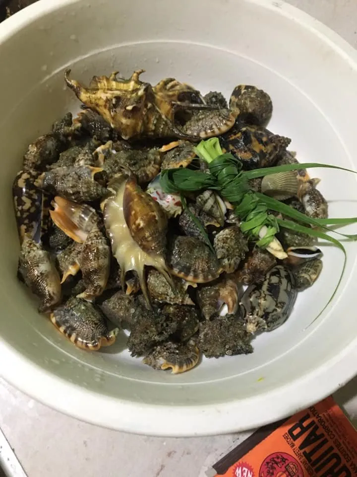 STEWED SAANG OR SPIDER SHELLS FOR BREAKFAST