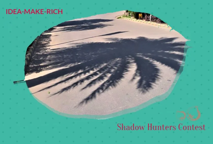 Palm Tree shadow::Shadow Hunters Contest- Round 269