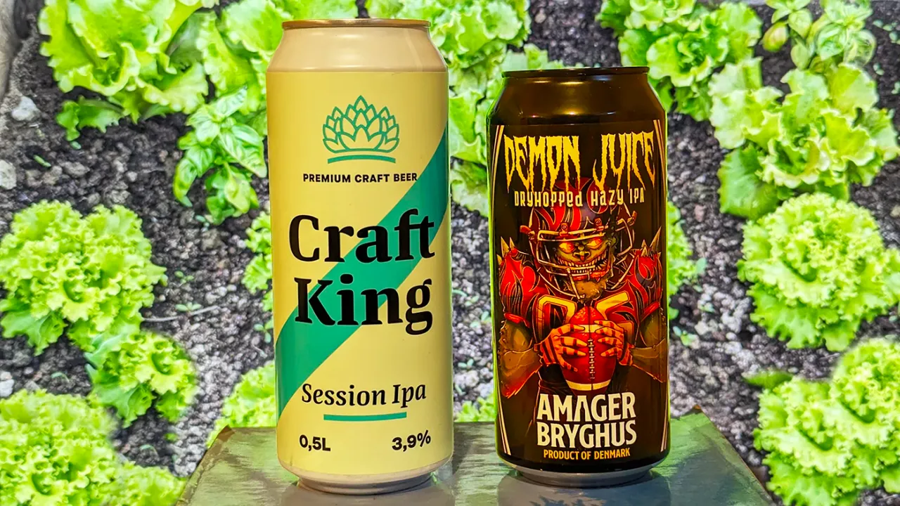 Beer Tasting: Craft King & Demon Juice