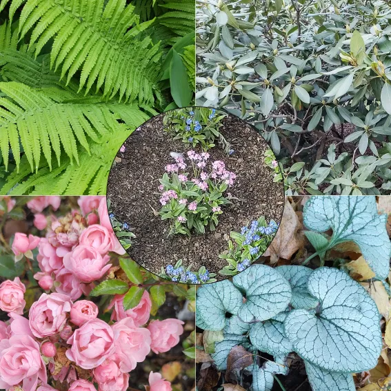 Scribus tutorial [part 2] - insert images (image frames)