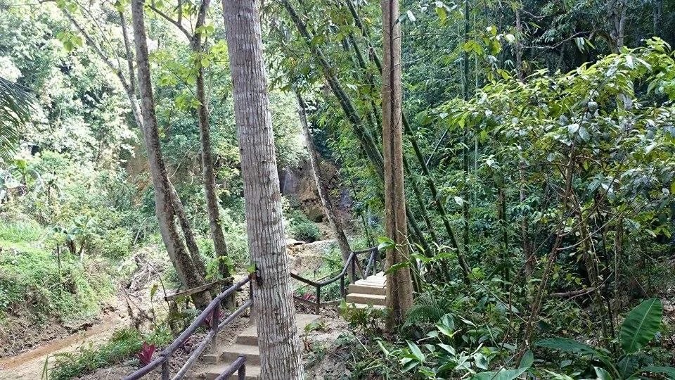 Kawasan Falls-Balilihan,Bohol