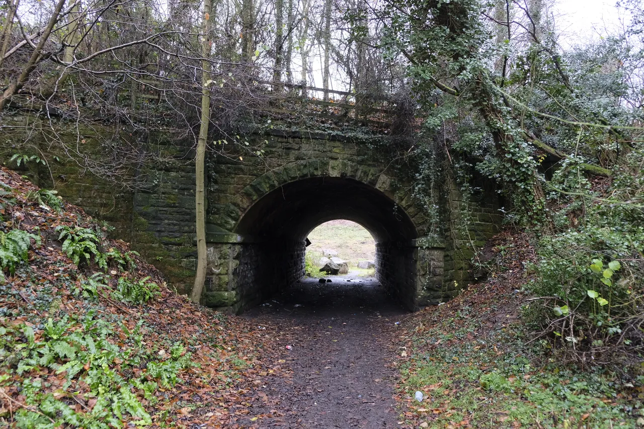 Wednesday Walk: Quarry Lane Nature Reserve
