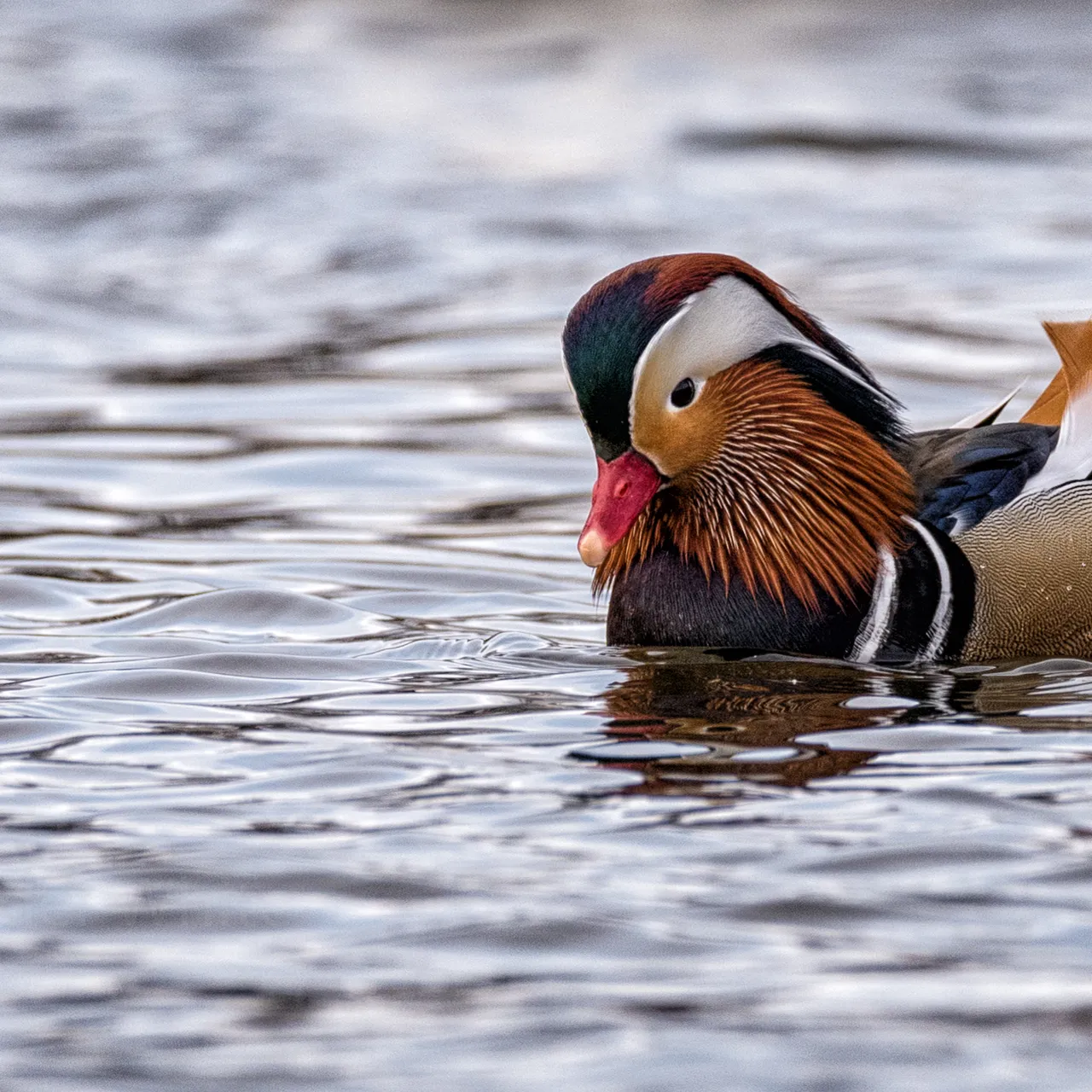 Exploring Depth of Field & Bokeh With Phoblographer 📷