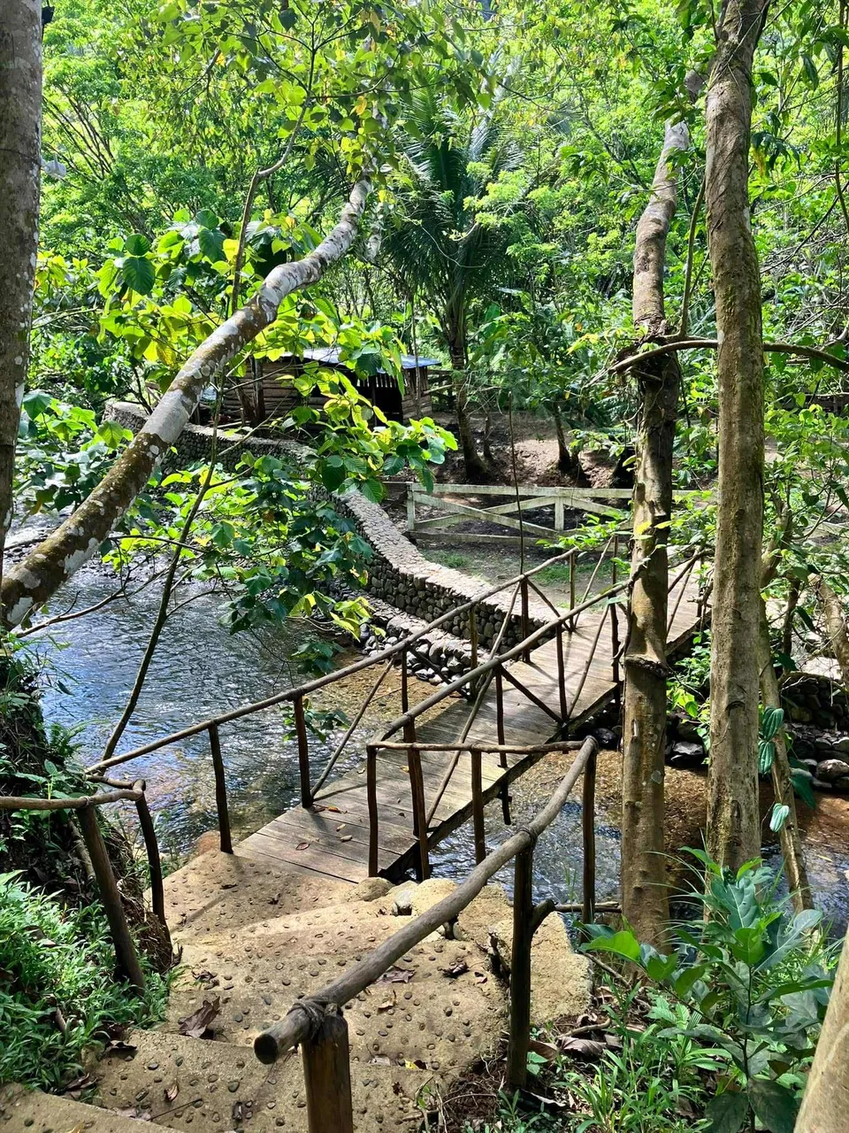 DISCOVER CAMP AWOL, REAL QUEZON PHILIPPINES: The Escape You Didn't ...