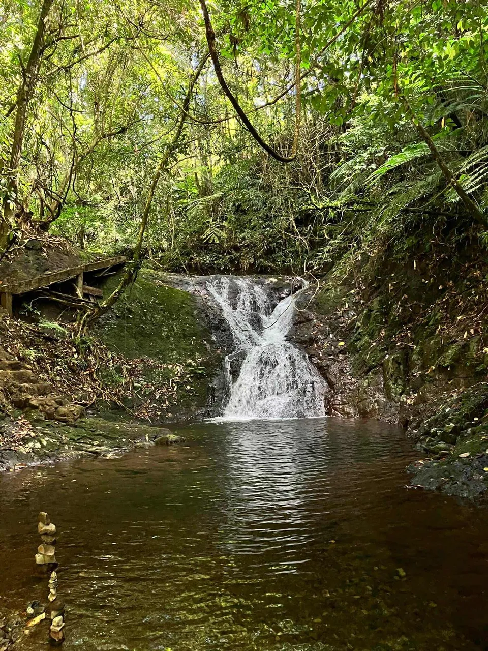 DISCOVER CAMP AWOL, REAL QUEZON PHILIPPINES: The Escape You Didn't ...