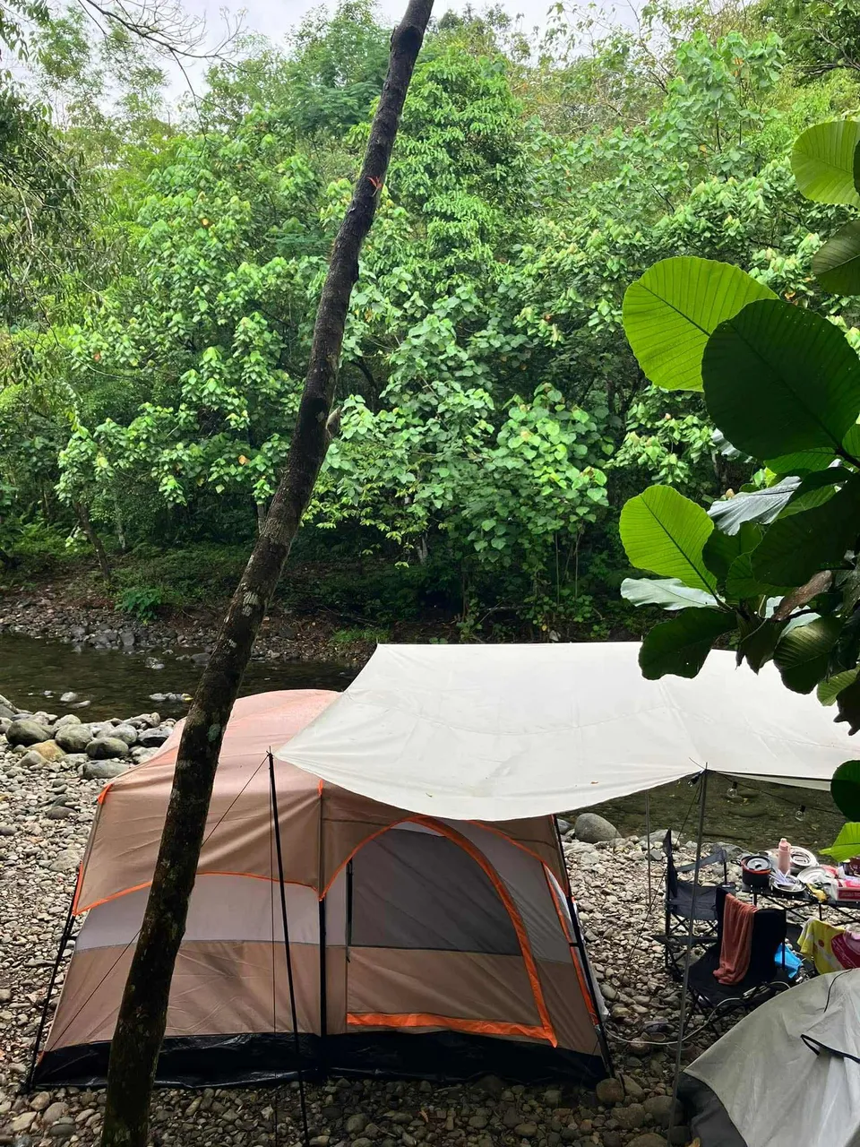 DISCOVER CAMP AWOL, REAL QUEZON PHILIPPINES: The Escape You Didn't ...