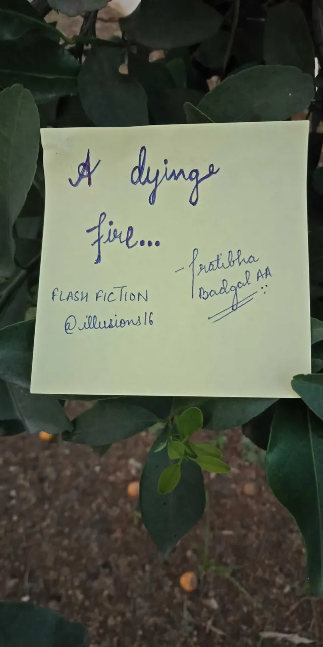 A Dying Fire - Poetic Version