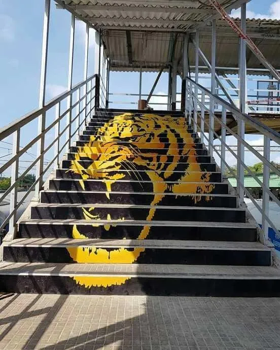 The history of graffiti