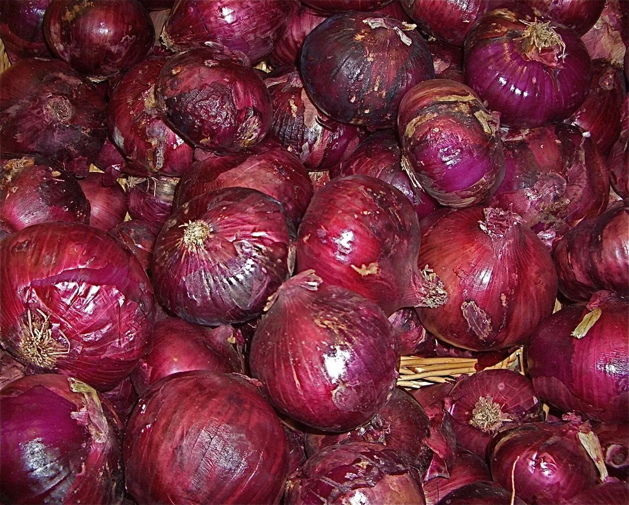 Introducing Myself: The Onion Guide.