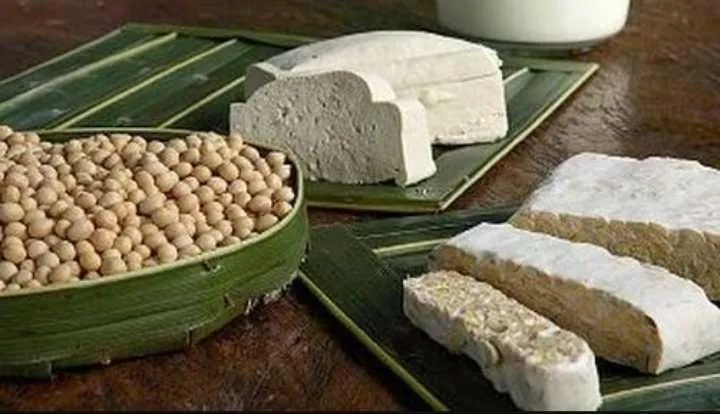 How to Make Your Own Tempe Step by Step