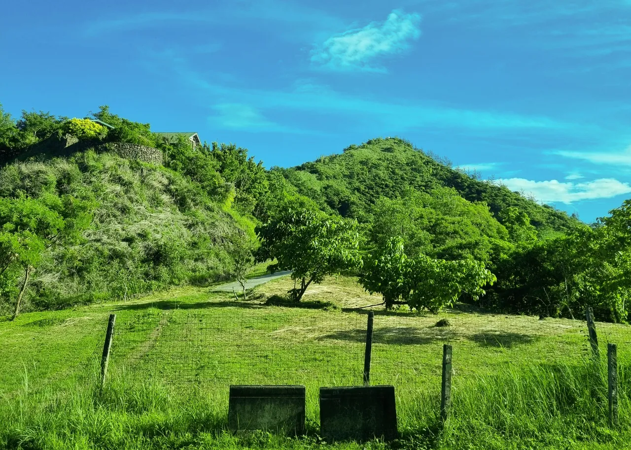 Overnight Camping in Marilaque Camp, Tanay, Rizal
