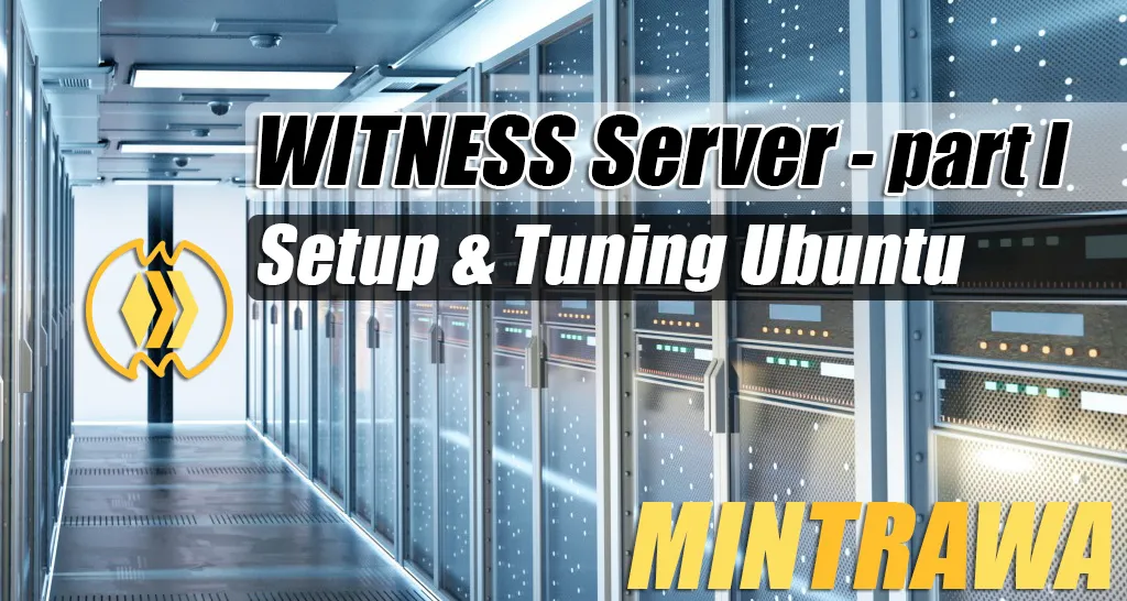 [WITNESS server - part I] Setup & Tuning Ubuntu