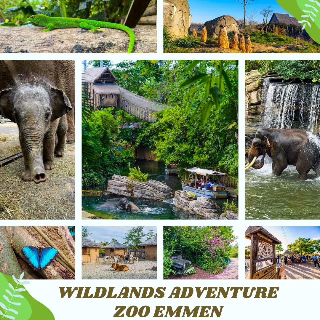 My visit to Wildlands Zoo, Emmen Netherlands [Eng/Esp]