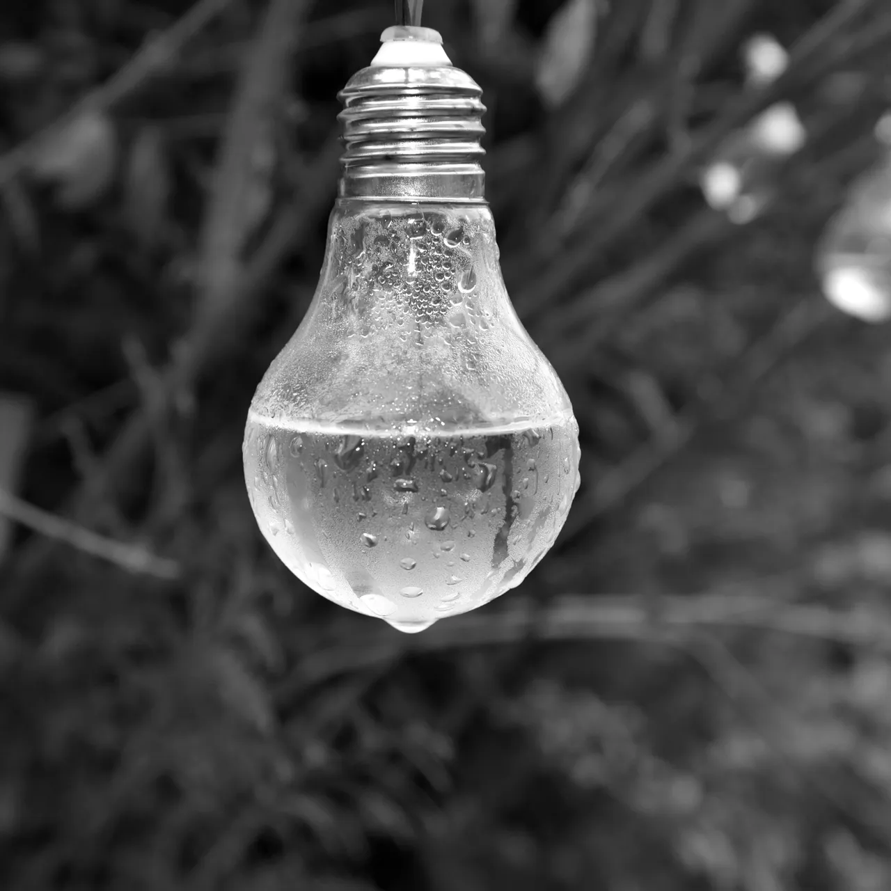 [ Object lying around in the garden in winte ]