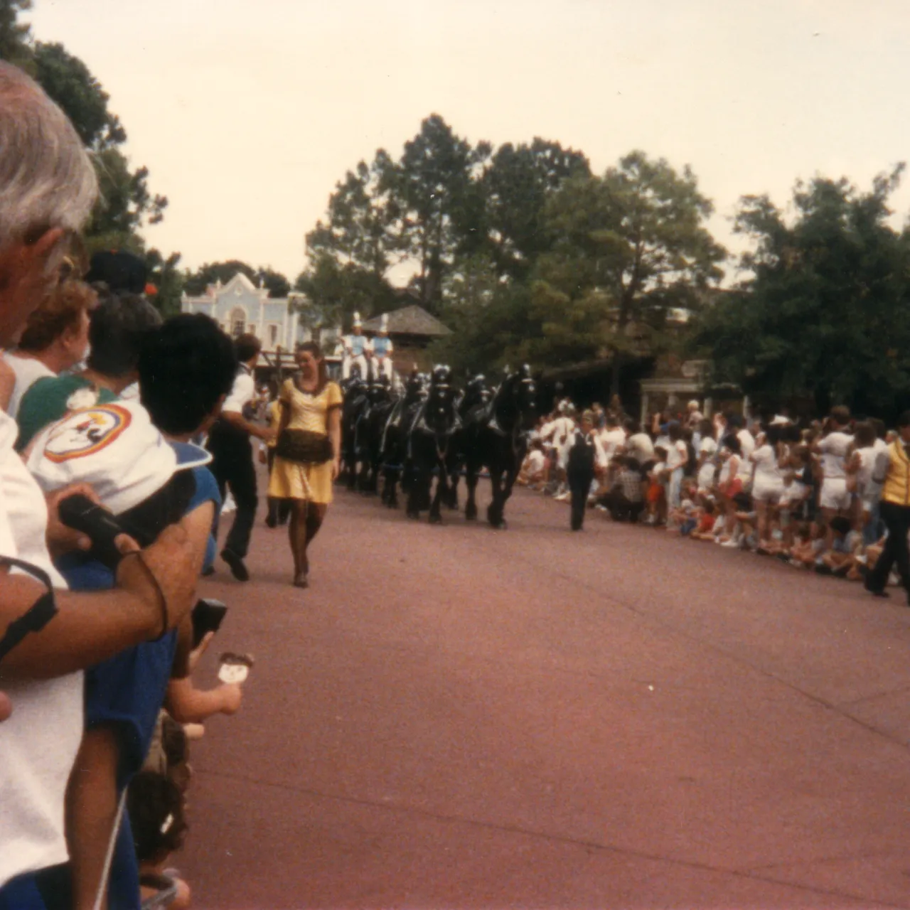 Disney World, 1985