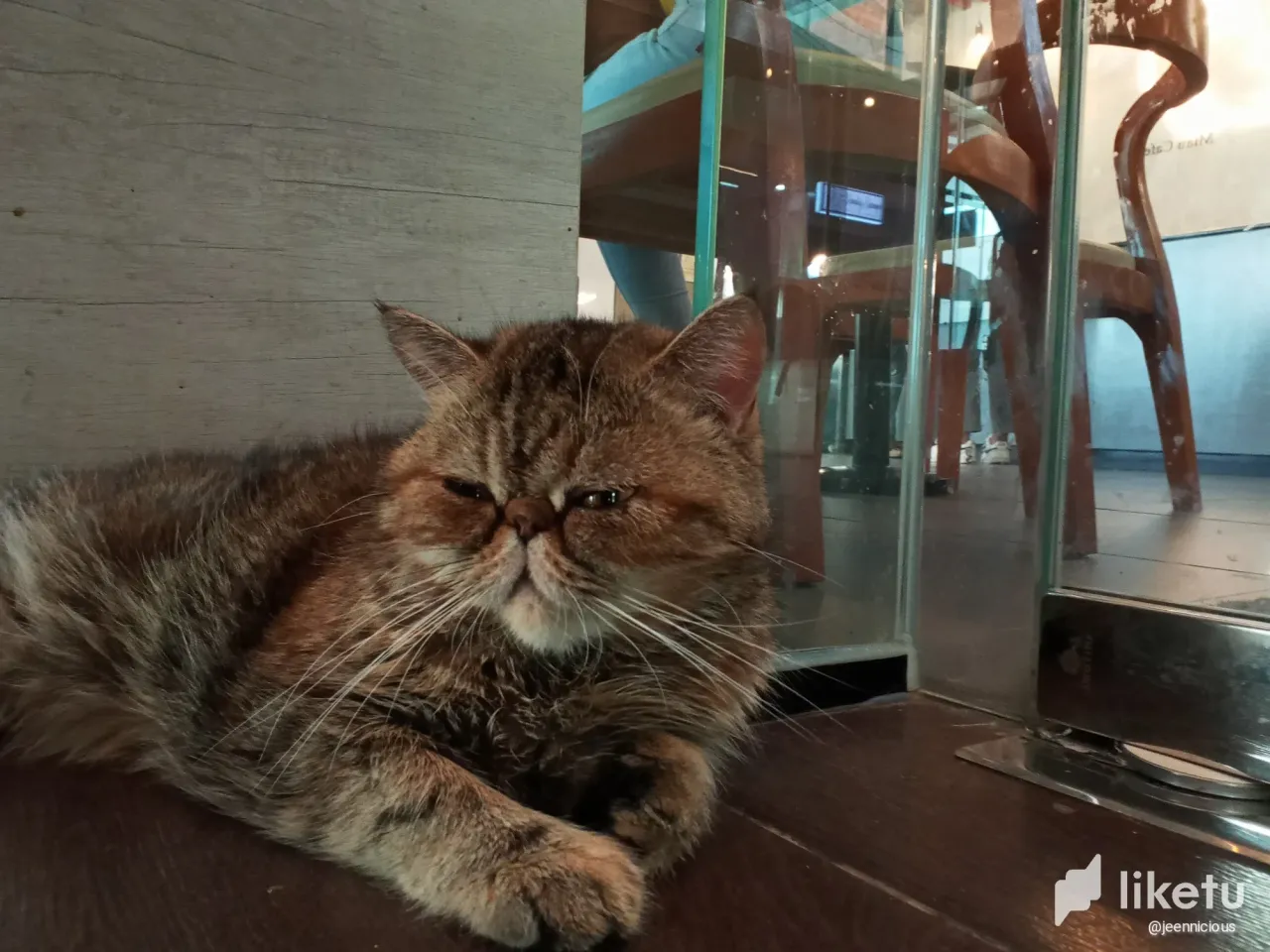 Warning! Cuteness Overload