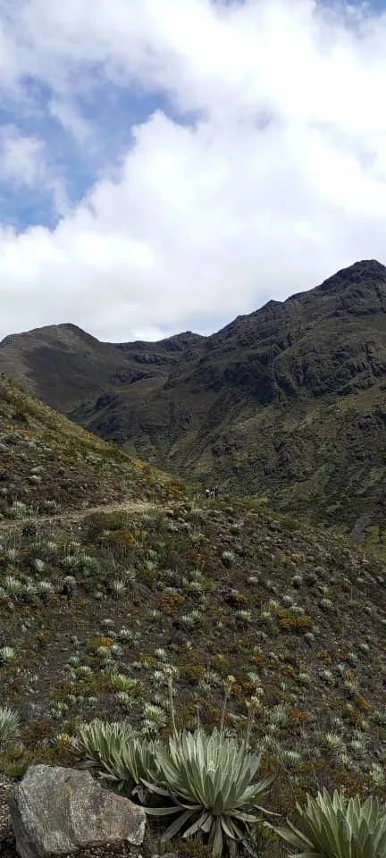 Hiking Laguna El Parche and La Pata - Mérida Vzla. // Senderismo La...